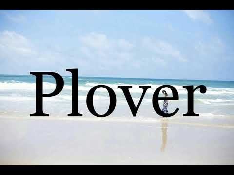 How To Pronounce Plover🌈🌈🌈🌈🌈🌈Pronunciation Of Plover