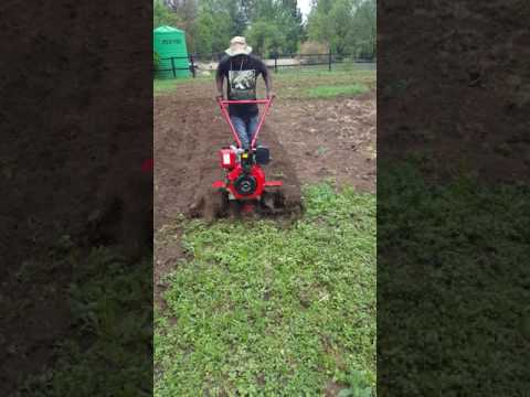 Tiller TM1050B