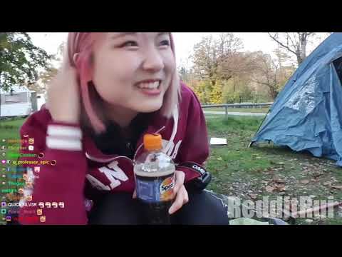 Live Stream Fail | r/LivestreamFail: Livestream wins, fails, and everything in between #2