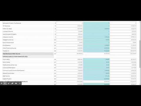 City Budgets: Amendments