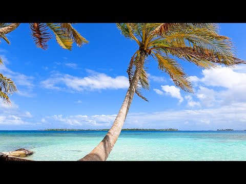 Tropical Dream: The Beauty of The Caribbean