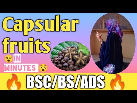 Capsular fruits and it's types || Legume|Follicle|Siliqua|Silicula|Capsule