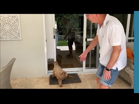 Pet Door Insert for a Sliding Door to Make Yourself