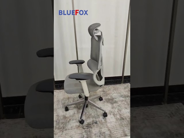 Cafe Chair - BLUEFOX DC PRIME MAX HB CHAIR Manufacturer from Raipur