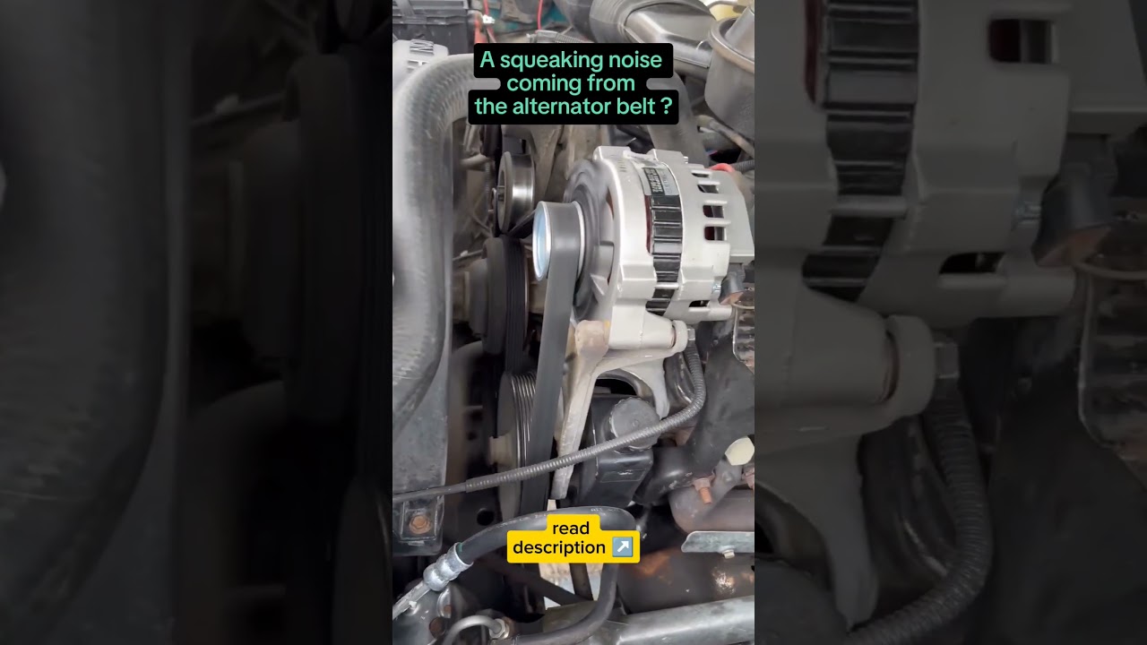 squeaking noise coming from the alternator belt ??