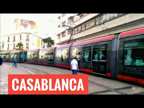 Casablanca - Morocco | Street and City Life in Casablanca