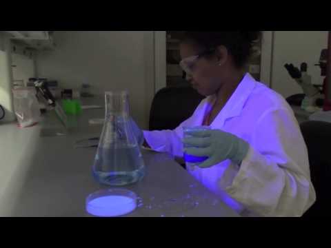Cell Phone Use in the Research Lab