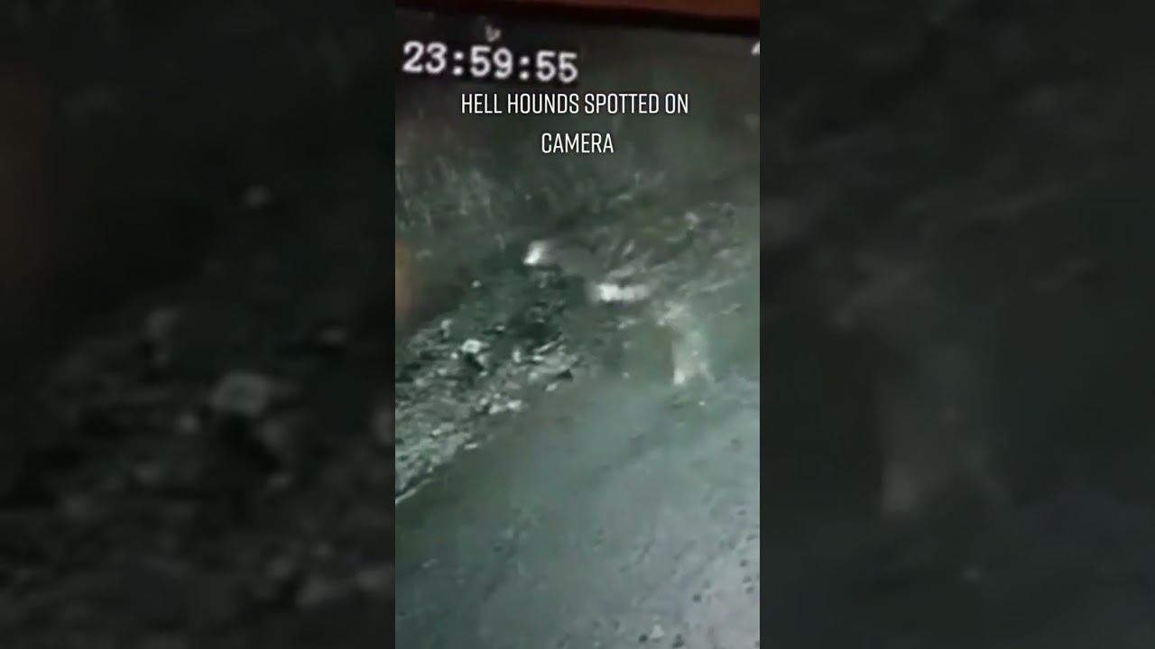 Hell Hounds Caught on Camera #shorts #short #scary