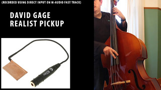 David Gage / Realist Acoustic The Realist (Bass Pickup) - What To Know ...