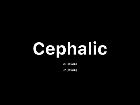 How to Pronounce Cephalic: 🇺🇸 American English vs. 🇬🇧 British English