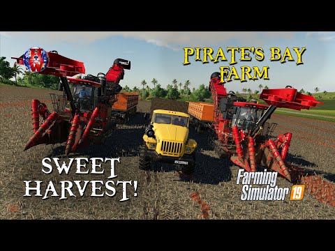 Steam Community :: Video :: PINEAPPLE BAY - SWEET HARVEST! - Farming ...