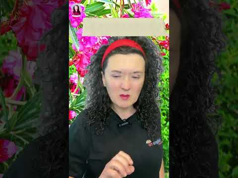 🧐🍀3 EXPRESIONES Idiomáticas en inglés sobre la INTUICIÓN
