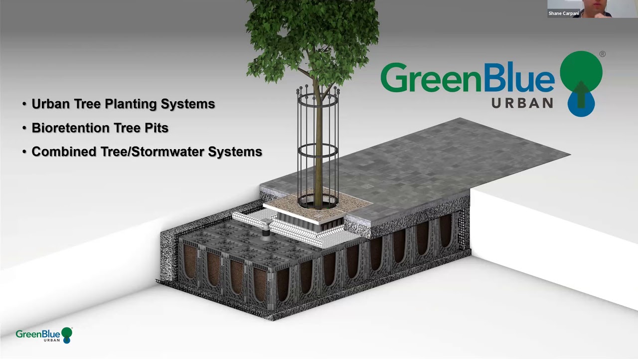 “Trees & Water Sensitive Urban Design” Webinar
