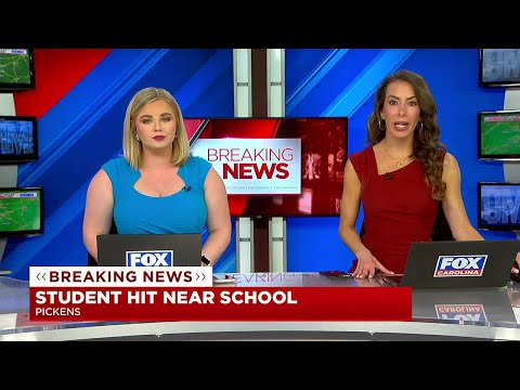 Student hit near school in Pickens