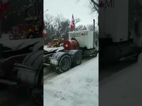 Freedom Convoy 2022 Rally, Regina Saskatchewan Canada Feb 5
