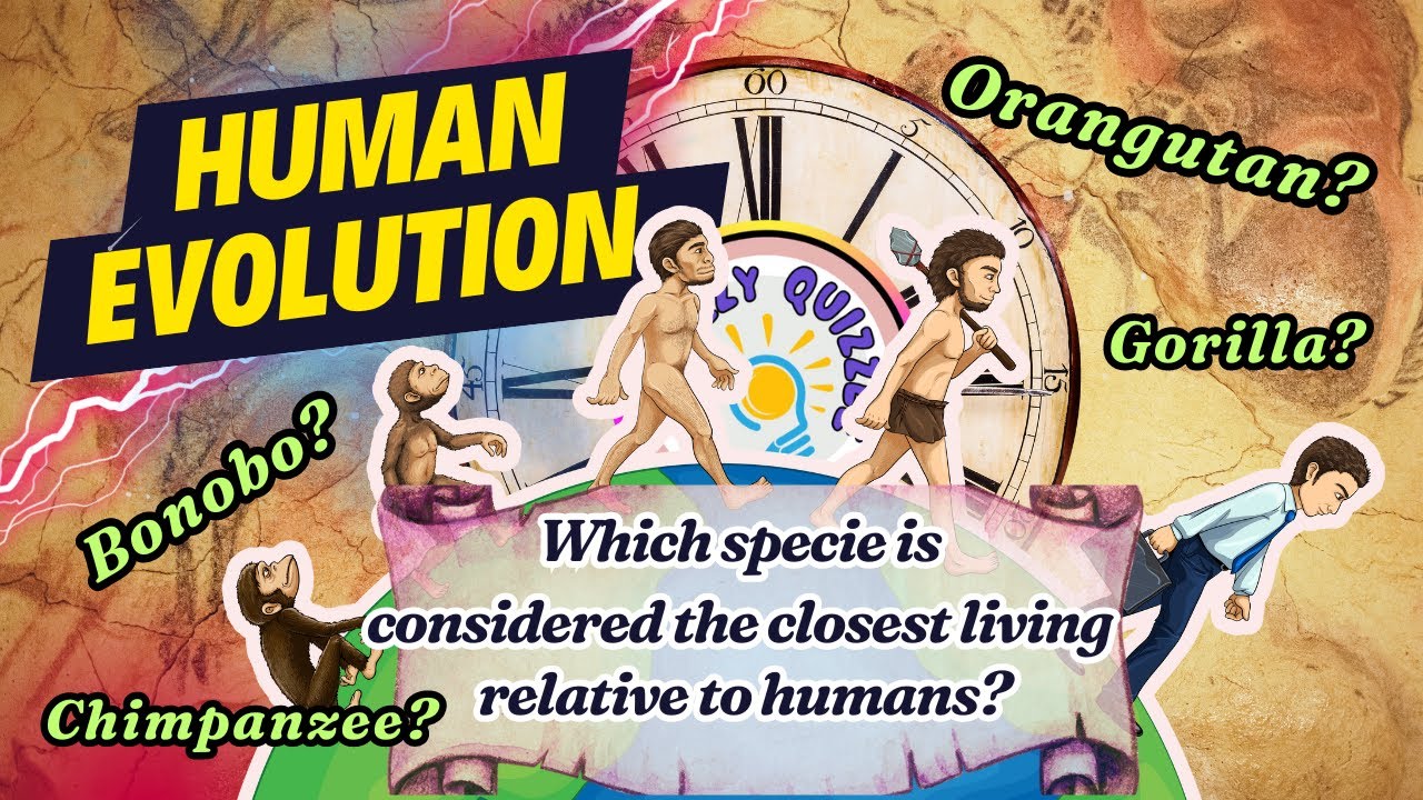 Test Your Knowledge! | HUMAN EVOLUTION QUIZ | Questions, Answers, and Explanations | Wizzy Quizzee