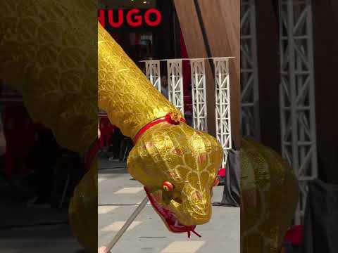 Snake - 2025 World Dragon & Lion Dance Extravaganza | Lalaport, Kuala Lumpur