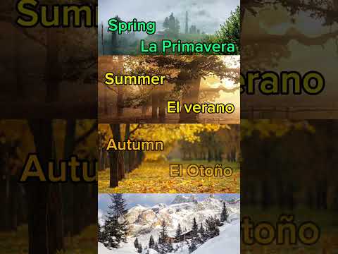 Four Seasons in Spanish #letslearnspanish #letslearnlanguages #temporadas
