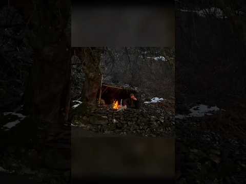 Forest camping snow #campgrounds #survival #bushcraftsurvival #bushcraftfamily #campinglocations