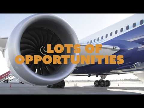 The Aviation Institute of Maintenance