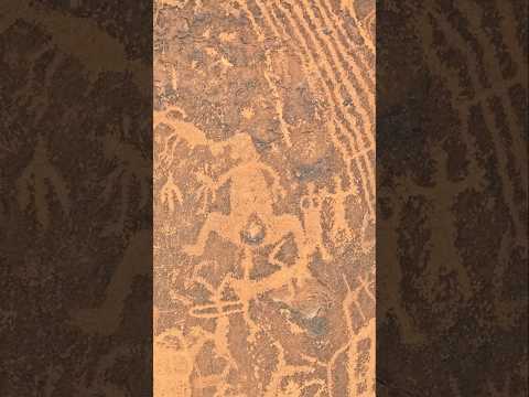 Incredible Ancient Rock Art Panel In Desert Canyon - Birth Images