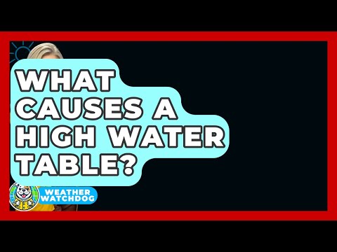 What Causes A High Water Table? - Weather Watchdog
