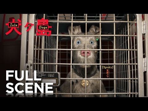 ISLE OF DOGS | Full Scene | FOX Searchlight