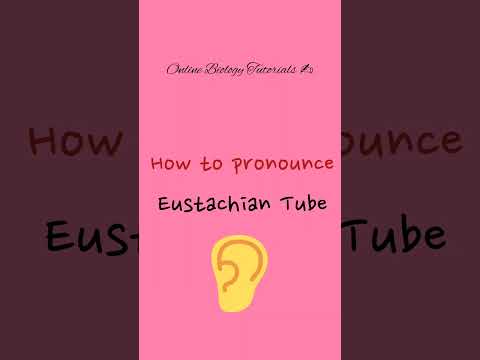How to pronounce Eustachian Tube👂| Eustachian Tube|#shorts