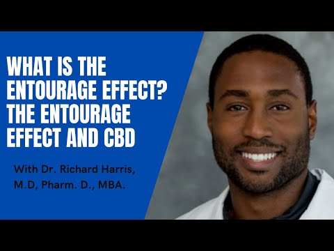 What is the entourage effect? The entourage effect and CBD