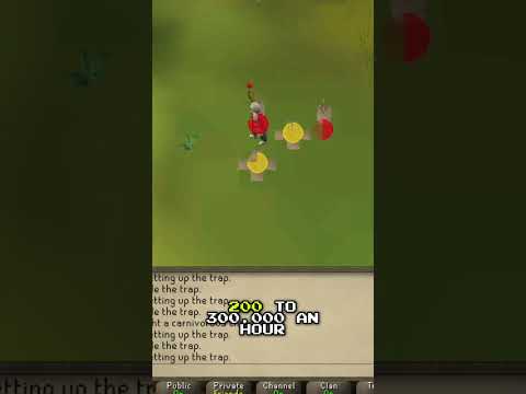 Insane Profits hunting red Chincompas with AI in OSRS.