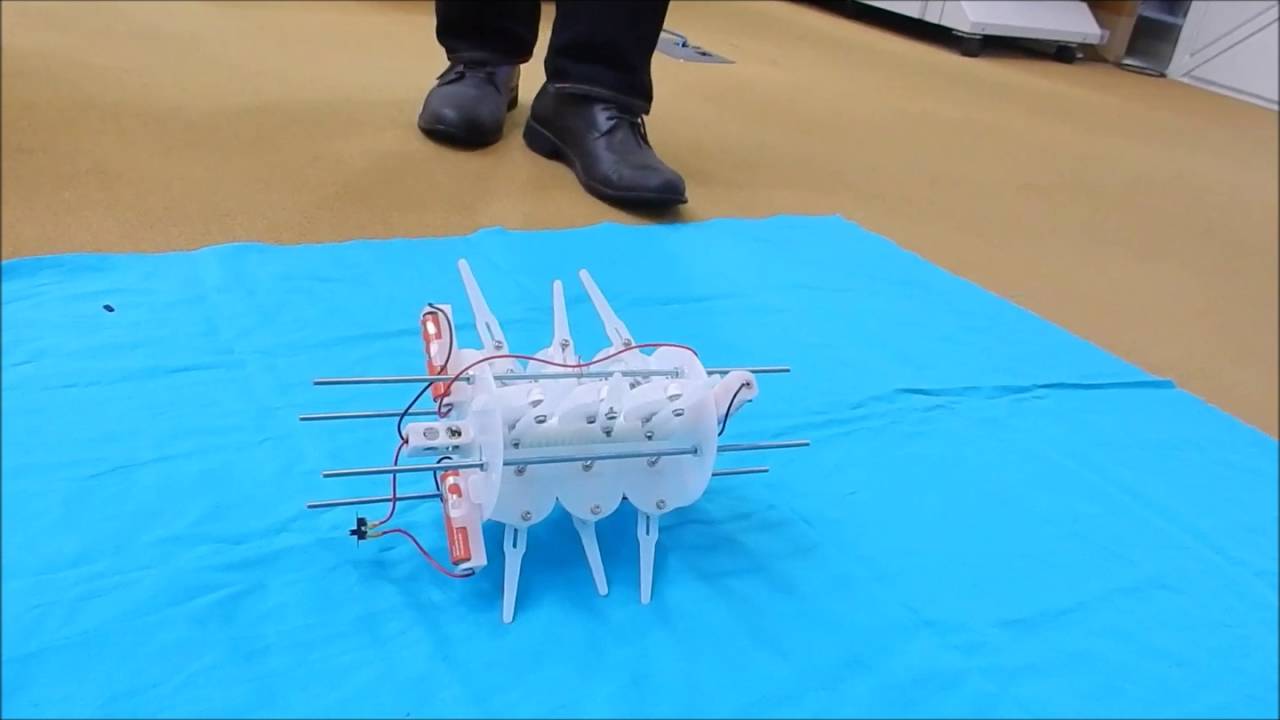 Roll-free Multi-legged Robot Driven by a Single Motor (x2 speed)