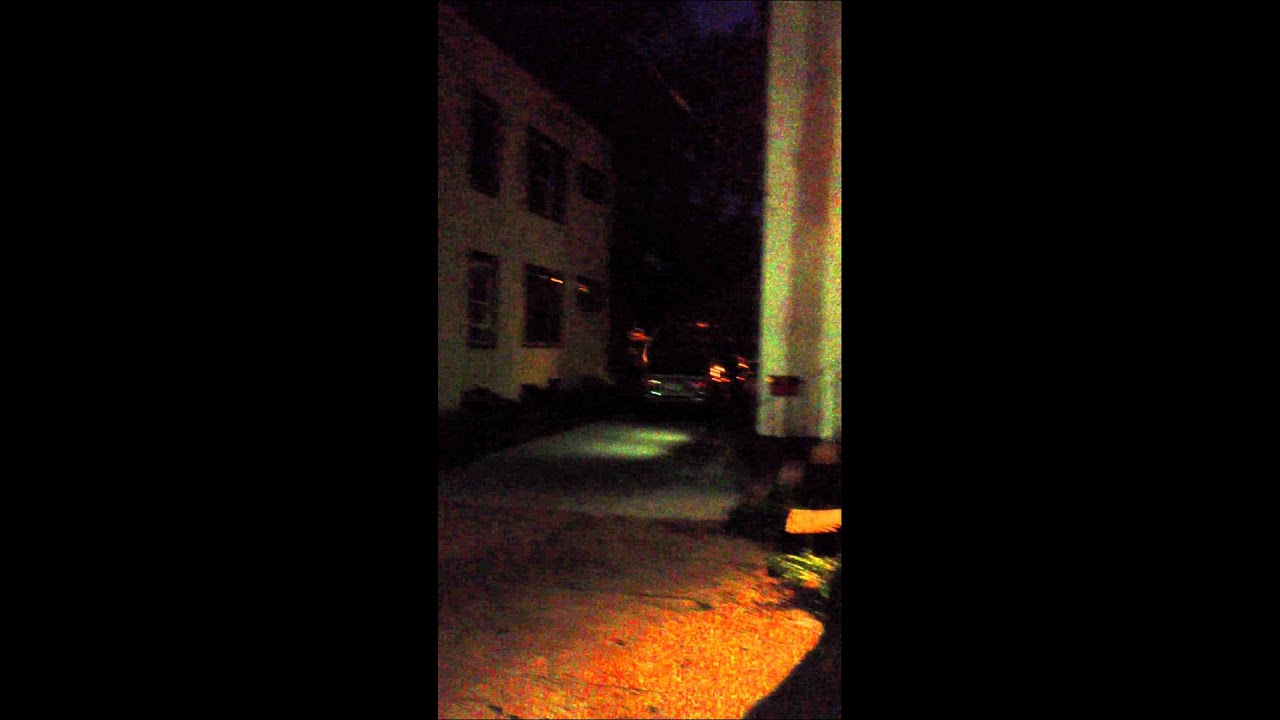 Common Nighthawk Alarm Vocalization
