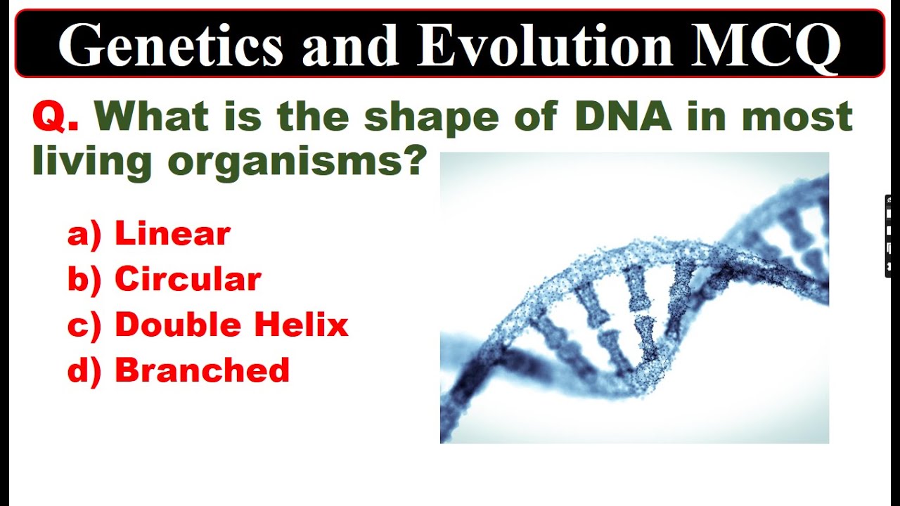 Genetics and Evolution MCQs | General Knowledge Quiz | Competitive Exam Preparation