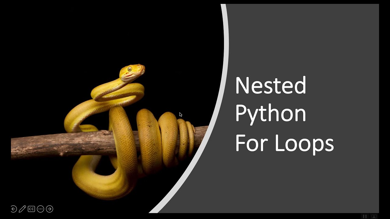 Module 4 -- Help With Nested Python For Loops