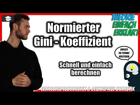 Normierter Gini Koeffizient berechnen & interpretieren 📚 Einfach erklärt [Theorie/Formel]