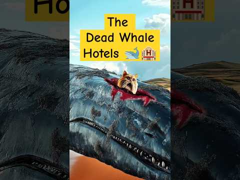 The Dead Whale Hotels 🐋🏨 #remix #facts #funny #cat