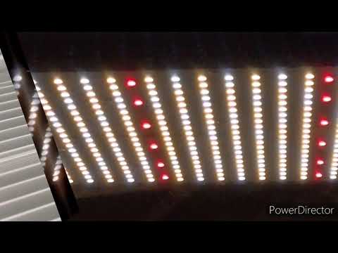 Viparspectra p1000 review
