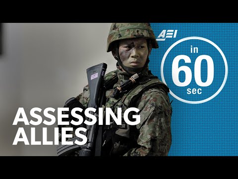 US allies: The importance of assessing capabilities | IN 60 SECONDS