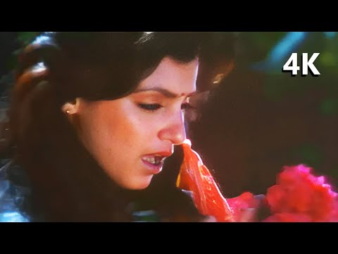 Maine Kya Socha Tha | Haque Movie 4K Song | Dimple Kapadia, Asif Shaikh | Alka Yagnik