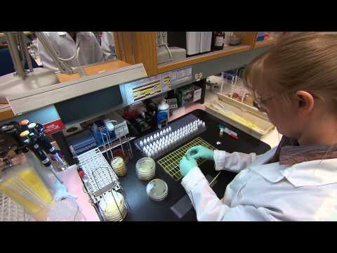 Dr Plummer: RESEARCHER AND LEADER - Part 2