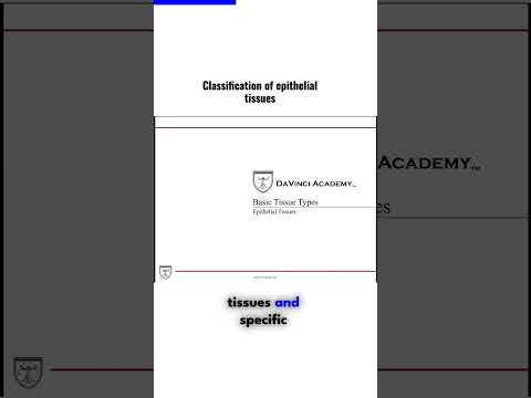 Classification of Epithelial Tissues
