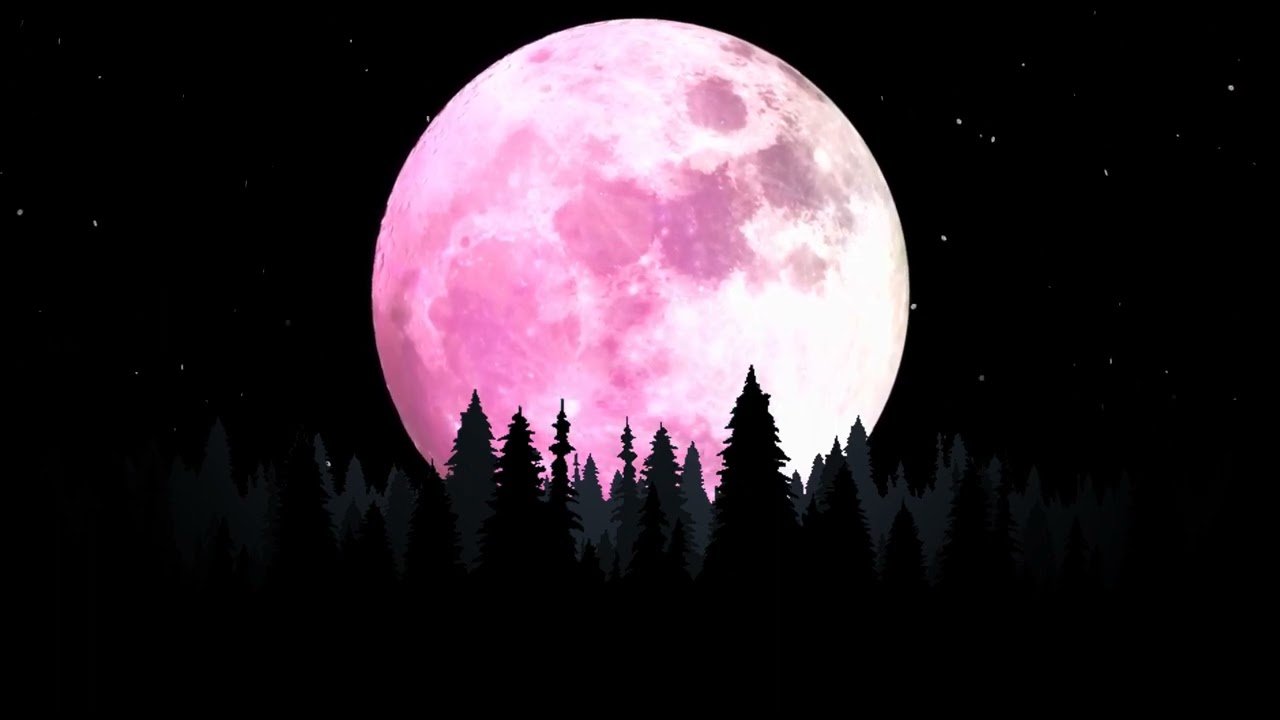 The Damned Moon - Inscryption Background