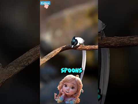 Funny Clip - Town Where It Rains Soup for a Week - Jokes Story