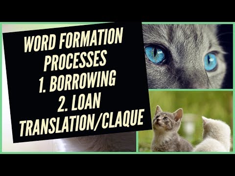 What is Borrowing | Loan Translation | Calque | Word Formation Processes | [Urdu/Hindi]