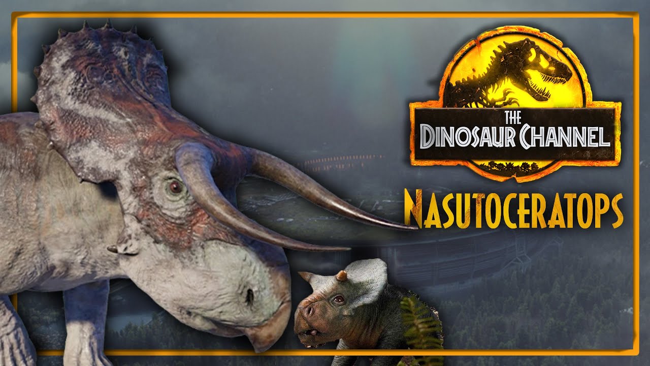 What Was The Nasutoceratops? - The Dinosaur Channel