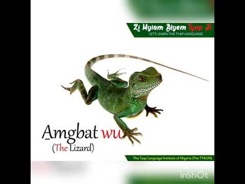 A̠mɡbat wu /ə̀mɡ͡bɑ̀d wù/ (The Lizard)