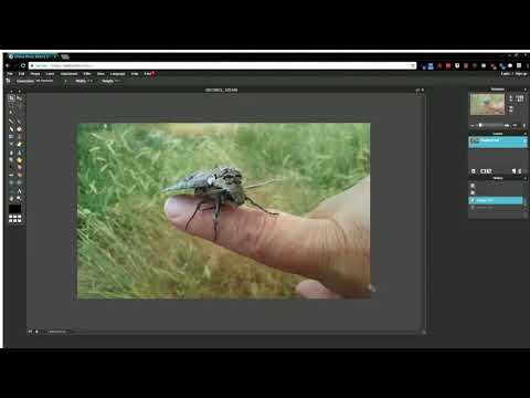 Pixlr Adjusting Image and Canvas Size
