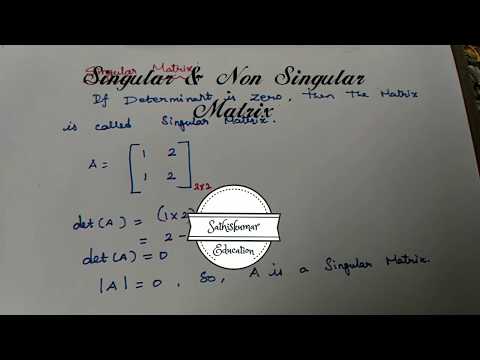 Singular and Non Singular Matrix- example with 2X2 matrix-Tamil