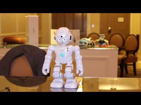 Lynx – Alexa Enabled Smart Humanoid Robot with Facial Recognition ...