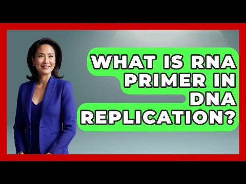 What Is RNA Primer In DNA Replication? - Biology For Everyone